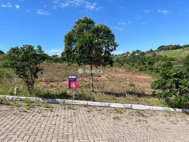 Terreno / Lote para Venda em Monte Belo do Sul/RS Centro