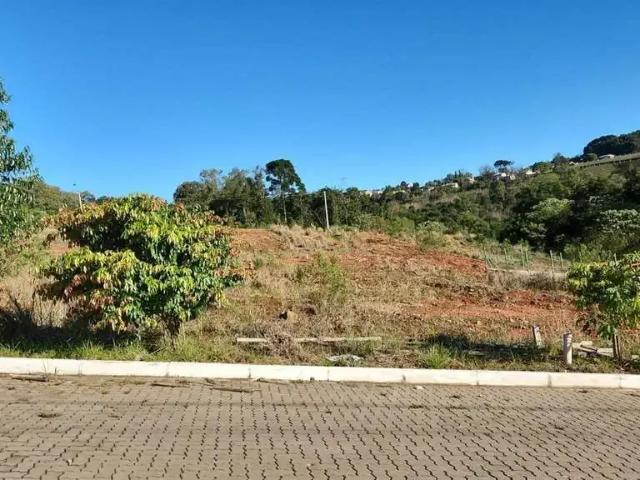Terreno / Lote para Venda em Monte Belo do Sul/RS Centro