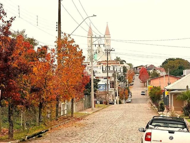 Terreno / Lote para Venda em Monte Belo do Sul/RS Centro