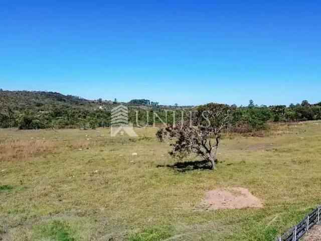 Terreno / Lote para Venda em Monte Carmelo/MG Zona Rural