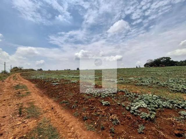Terreno / Lote para Venda em Monte Mor/SP Sobradinho