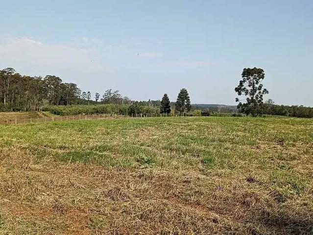 Terreno / Lote para Venda em Montenegro/RS Costa da Serra