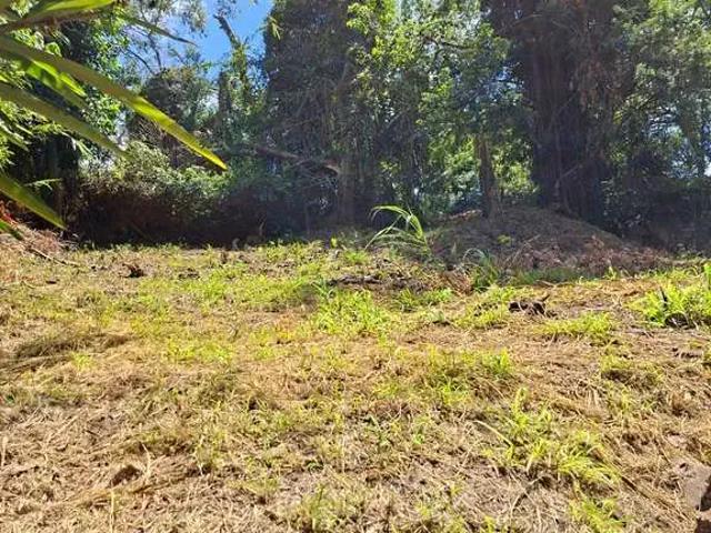 Terreno / Lote para Venda em Montenegro/RS Centro