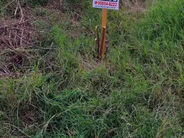Terreno / Lote para Venda em Montenegro/RS Aeroclube