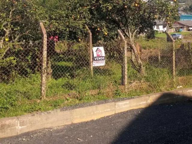 Terreno / Lote para Venda em Montenegro/RS Bela Vista