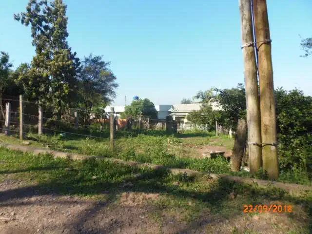 Terreno / Lote para Venda em Montenegro/RS Bela Vista