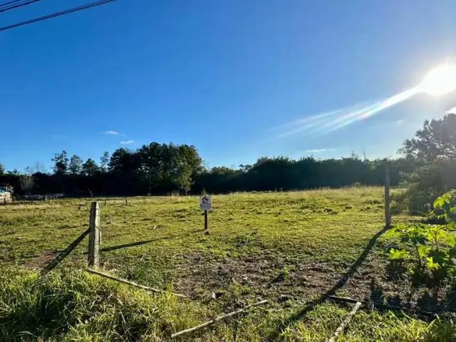 Terreno / Lote para Venda em Montenegro/RS Germano Henke 1 Quartos