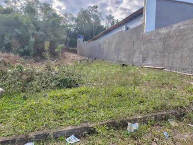 Terreno / Lote para Venda em Montenegro/RS Estação