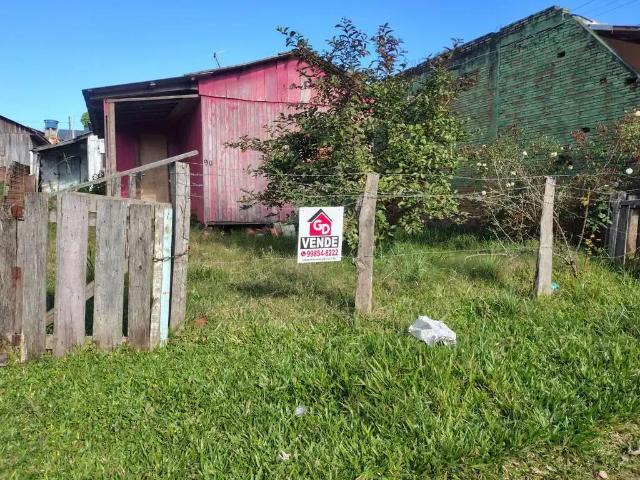 Terreno / Lote para Venda em Montenegro/RS Estação