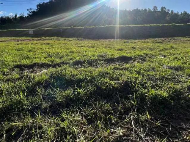 Terreno / Lote para Venda em Montenegro/RS Estação