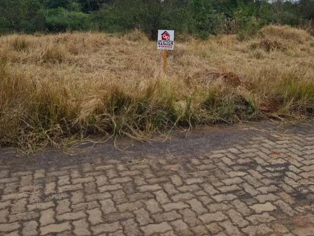Terreno / Lote para Venda em Montenegro/RS Faxinal