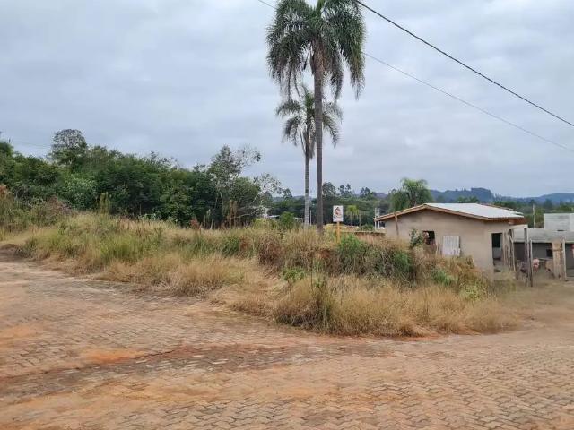 Terreno / Lote para Venda em Montenegro/RS Faxinal