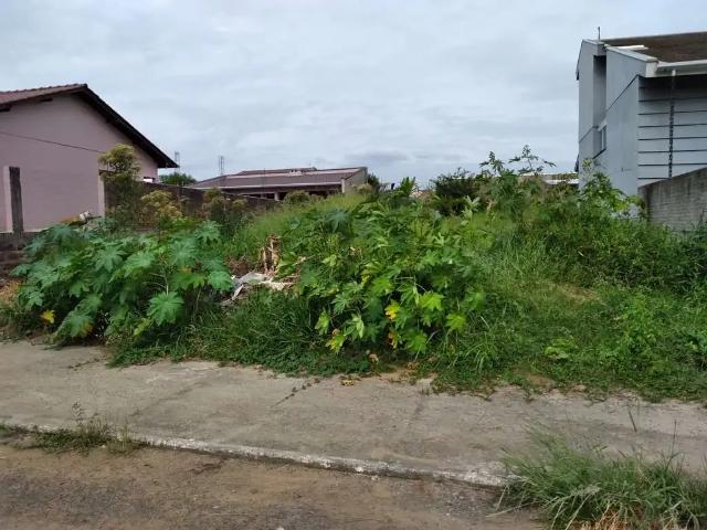 Terreno / Lote para Venda em Montenegro/RS Olaria