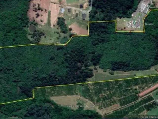 Terreno / Lote para Venda em Montenegro/RS São José do Maratá
