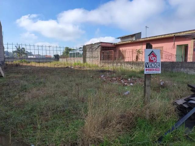 Terreno / Lote para Venda em Montenegro/RS São Paulo