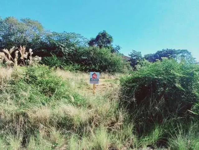 Terreno / Lote para Venda em Montenegro/RS Santa Rita