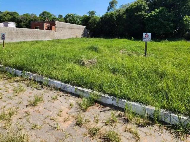 Terreno / Lote para Venda em Montenegro/RS Santa Rita