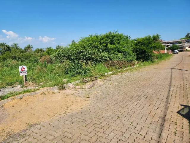 Terreno / Lote para Venda em Montenegro/RS Santa Rita