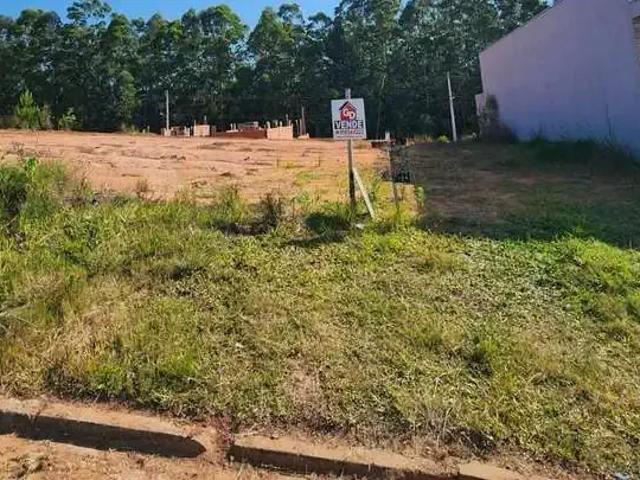 Terreno / Lote para Venda em Montenegro/RS Porto Dos Pereiras