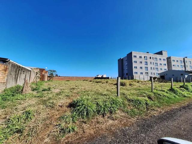 Terreno / Lote para Venda em Montenegro/RS Timbaúva