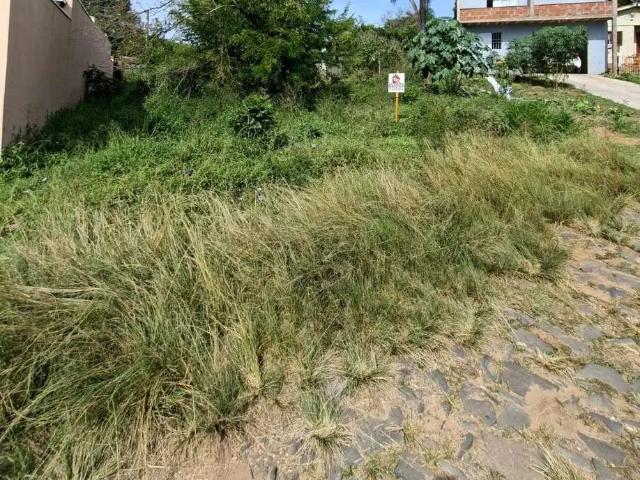 Terreno / Lote para Venda em Montenegro/RS Timbaúva