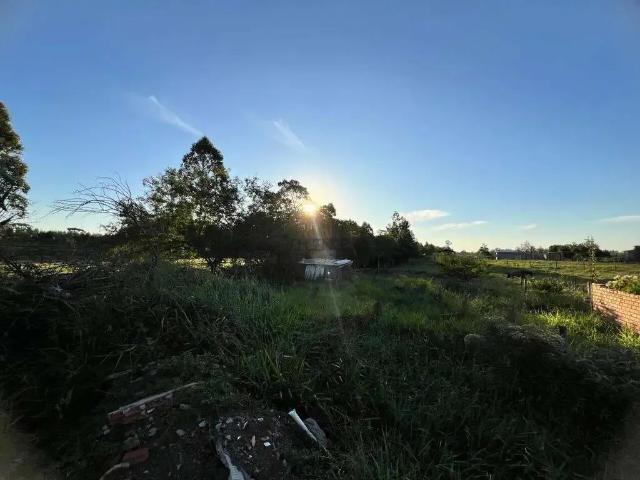 Terreno / Lote para Venda em Montenegro/RS Vendinha