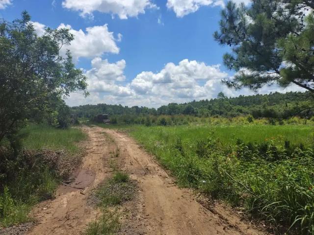 Terreno / Lote para Venda em Montenegro/RS Zona Rural