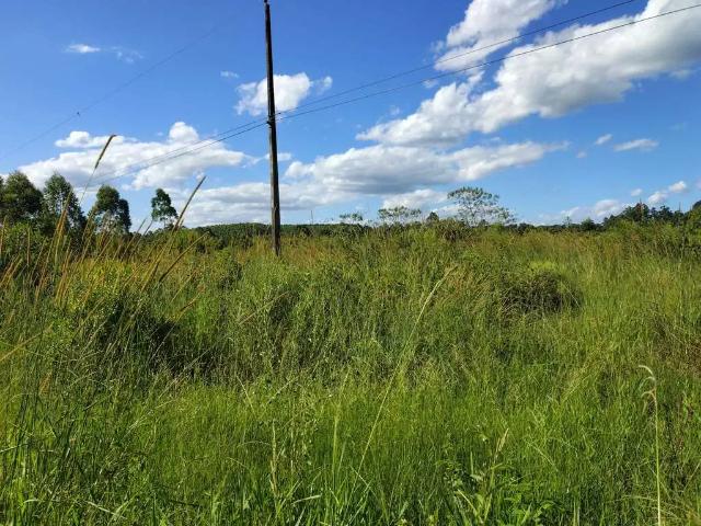 Terreno / Lote para Venda em Montenegro/RS Zona Rural
