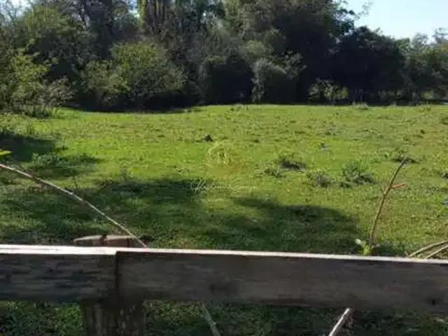 Terreno / Lote para Venda em Montenegro/RS Zona Rural