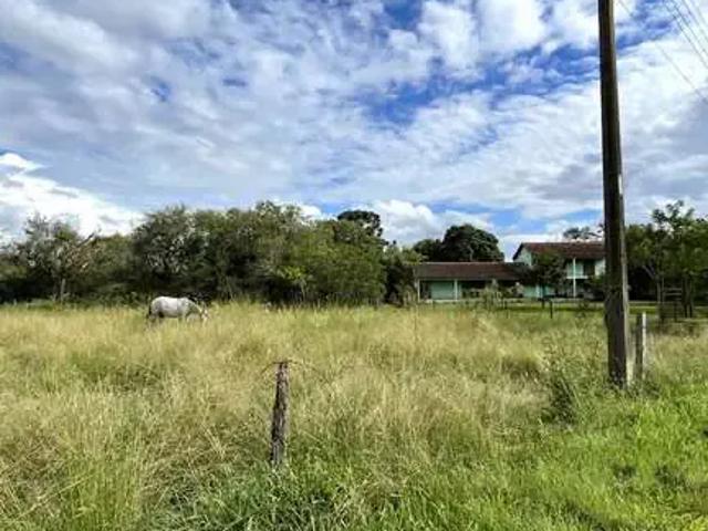 Terreno / Lote para Venda em Montenegro/RS Zona Rural
