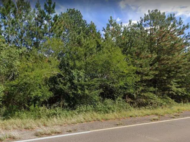 Terreno / Lote para Venda em Montenegro/RS Zona Rural