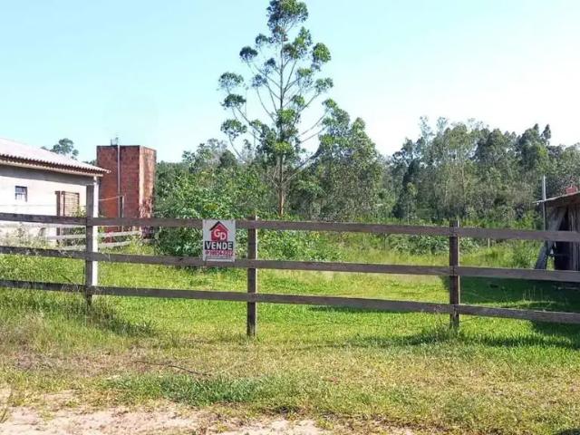 Terreno / Lote para Venda em Montenegro/RS Zootecnia