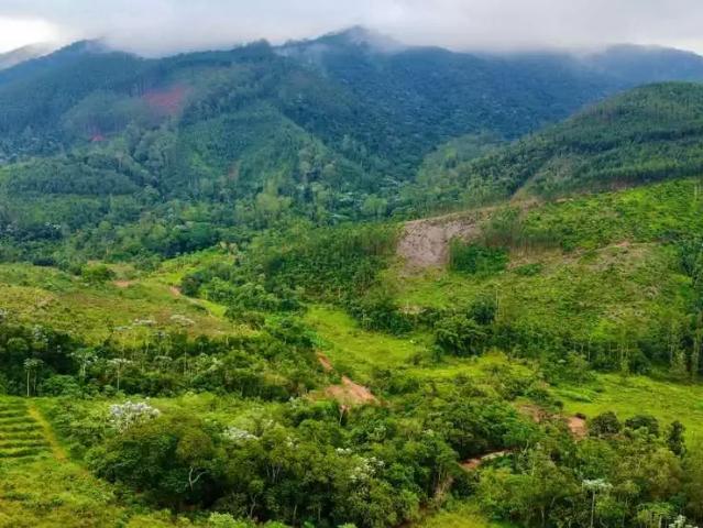 Terreno / Lote para Venda em Monteiro Lobato/SP Centro