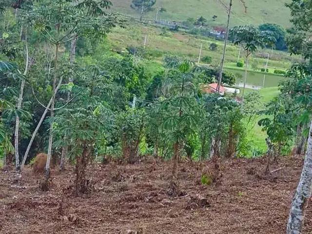 Terreno / Lote para Venda em Monteiro Lobato/SP Centro