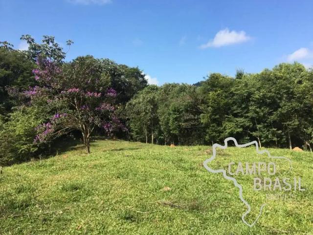 Terreno / Lote para Venda em Monteiro Lobato/SP Centro