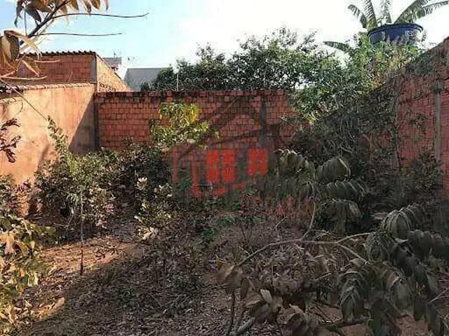 Terreno / Lote para Venda em Montes Claros/MG Santa Lúcia