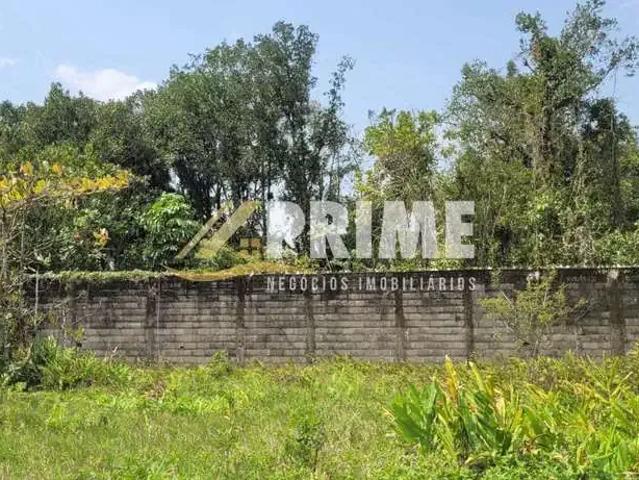 Terreno / Lote para Venda em Mongaguá/SP Conjunto Residencial Mazzeo