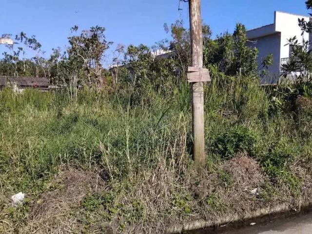 Terreno / Lote para Venda em Mongaguá/SP Florida Mirim