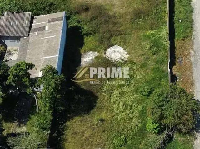 Terreno / Lote para Venda em Mongaguá/SP Itaguaí