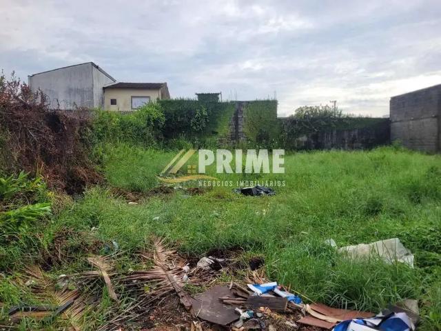 Terreno / Lote para Venda em Mongaguá/SP Jardim Primavera