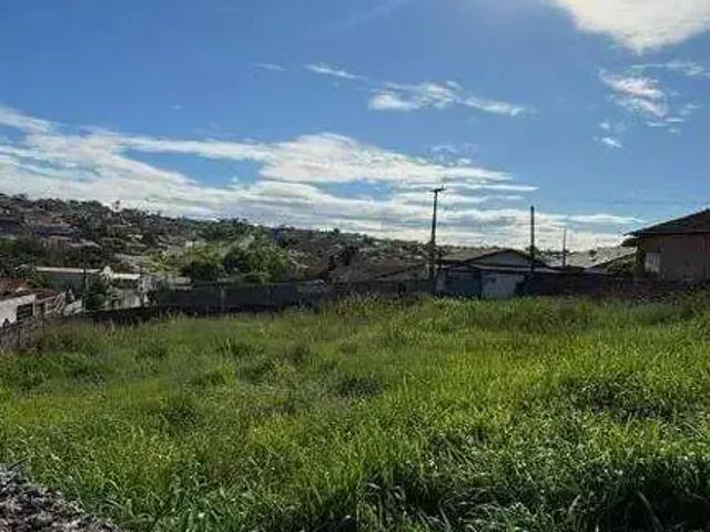 Terreno / Lote para Venda em Mogi Mirim/SP Jardim Lago