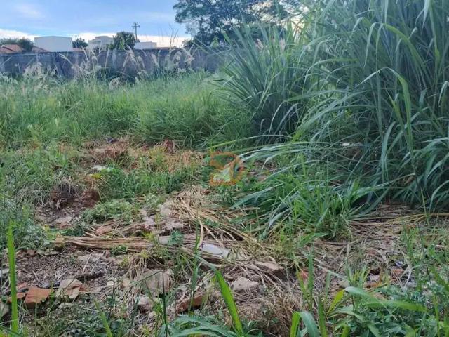 Terreno / Lote para Venda em Mogi Mirim/SP Jardim Longatto