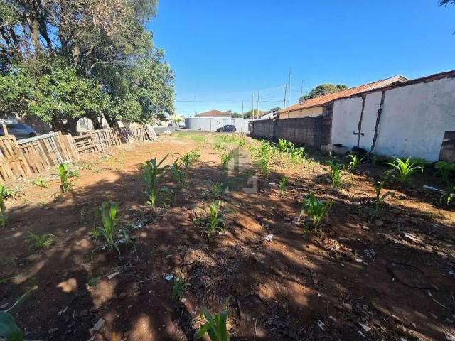 Terreno / Lote para Venda em Mogi Mirim/SP Jardim Primavera