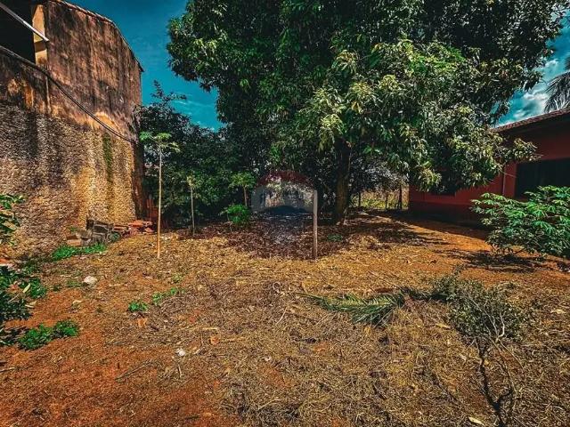 Terreno / Lote para Venda em Mogi Mirim/SP Martim Francisco