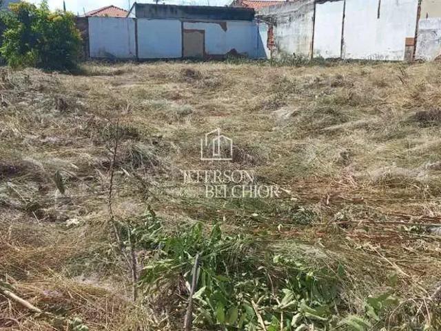 Terreno / Lote para Venda em Mogi Mirim/SP Mirante