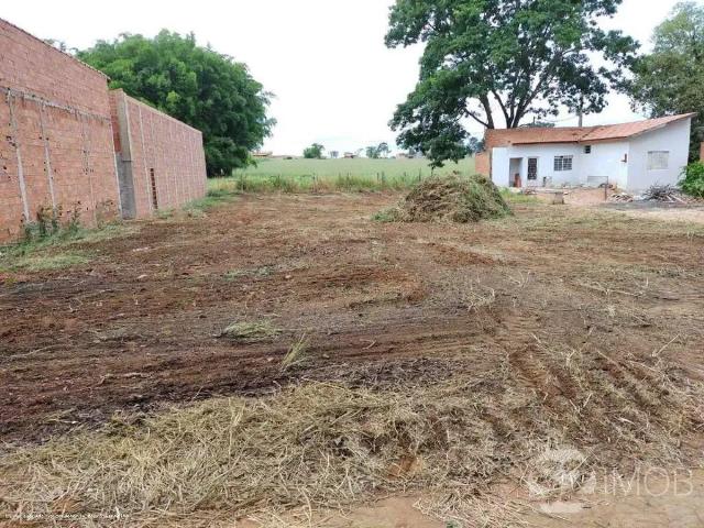Terreno / Lote para Venda em Mogi Mirim/SP Paraíso da Cachoeira