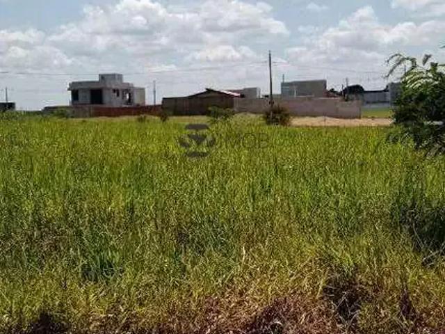 Terreno / Lote para Venda em Mogi Mirim/SP Parque Jardim Murayama