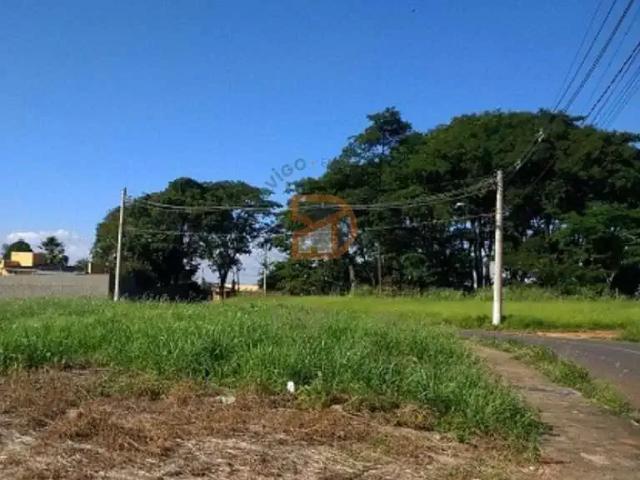 Terreno / Lote para Venda em Mogi Mirim/SP Parque Jardim Murayama