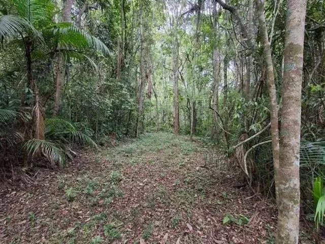 Terreno / Lote para Venda em Mogi das Cruzes/SP Taiacupeba