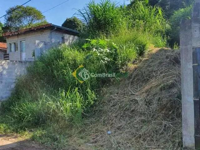 Terreno / Lote para Venda em Mogi das Cruzes/SP Vila Mathias